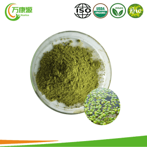 Mankai Duckweed Powder - WanKon Biotech